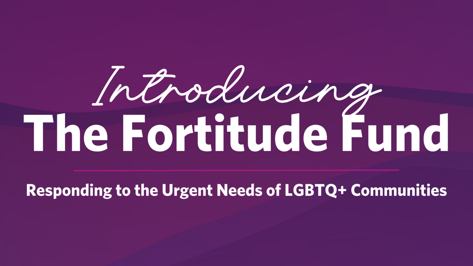 Introducing the Fortitude Fund: Responding to the Urgent Needs of LGBTQ+ Communities - Pride ...